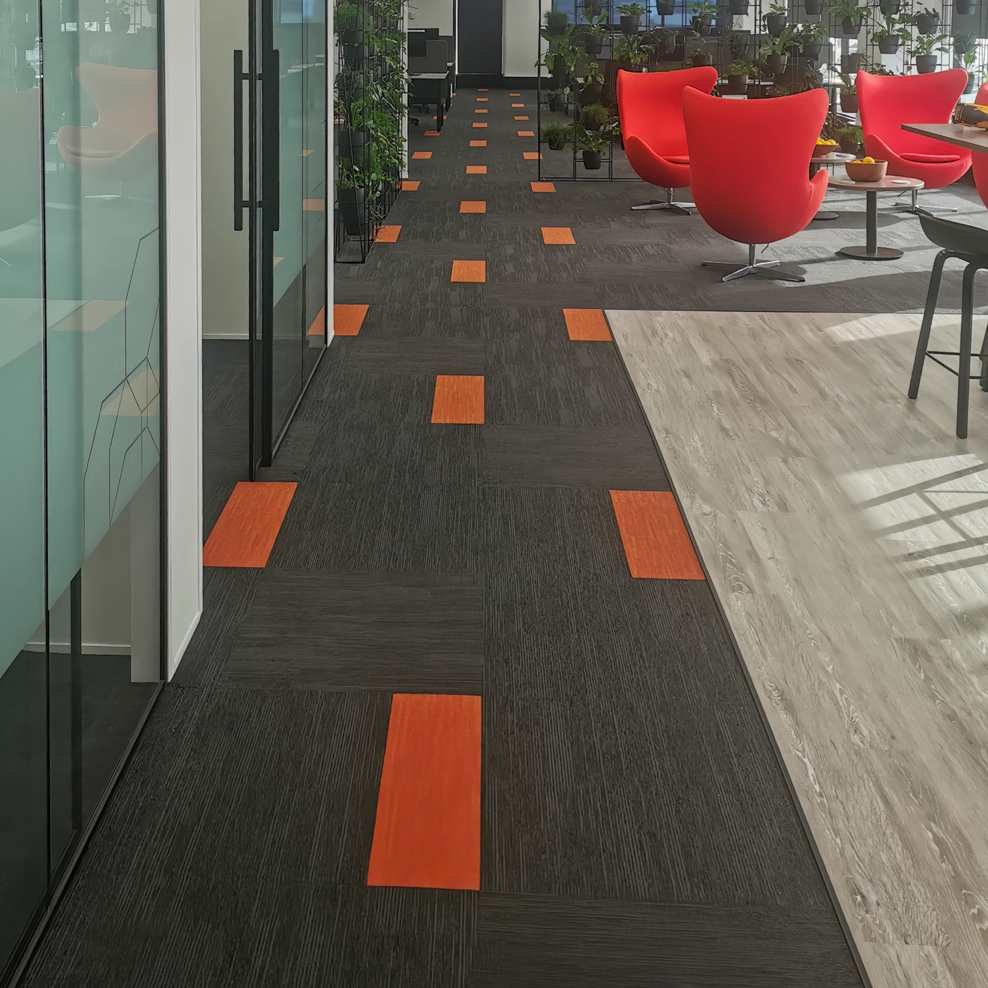 Nova Construction and Development